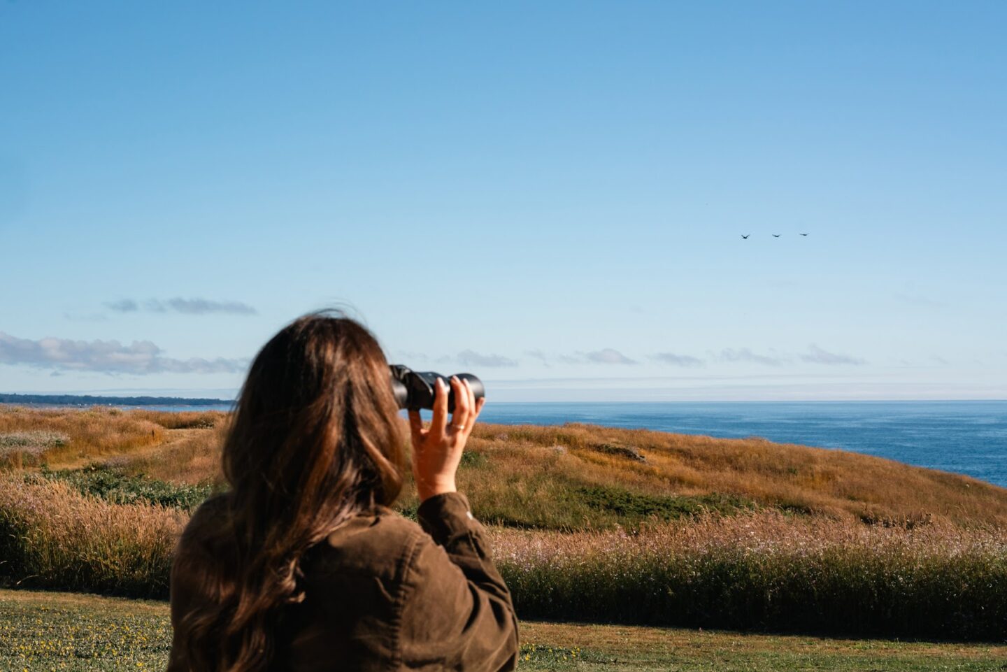 Birds of a Feather | CABBI