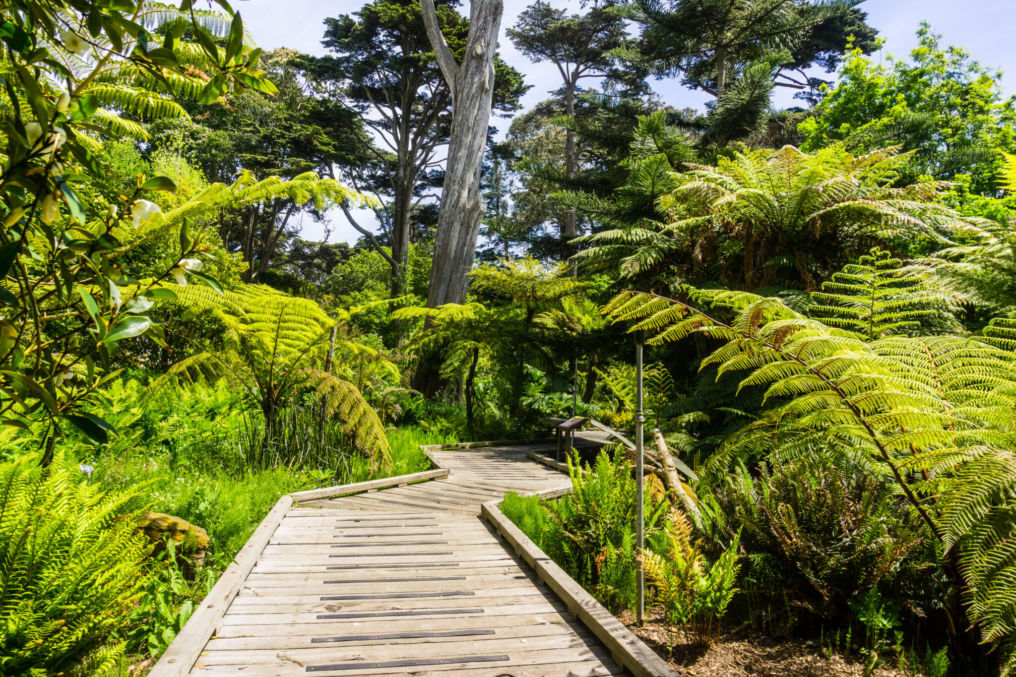 7 Botanical Gardens to Visit This Spring in California | CABBI